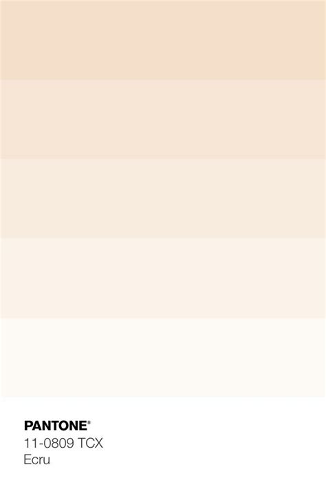 Hazelnut Ecru · Summer · Color Palette Цветовые тона Дизайн Палитра