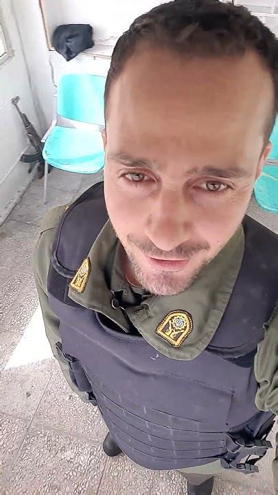 ناموسا داستان درست کردن برا موجودات دیگه خیلی باحاله ینی اوناهم همچین