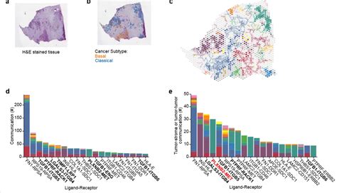 10x空间转录组neural network on spatial transcriptomics 10x空间转录组数据翻译 csdn博客