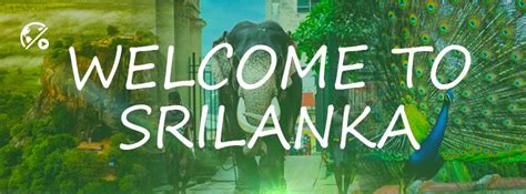 ஒக்டோபர் மாதம் சுற்றுலாத்துறை மூலம் 185 6 மில்லியன் டொலரை ஈட்டிய இலங்கை Jaffna Muslim