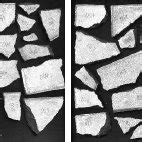 Input Images For The Test Download Scientific Diagram