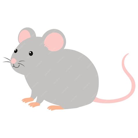 Premium Vector Cute Mouse Vector Illustration