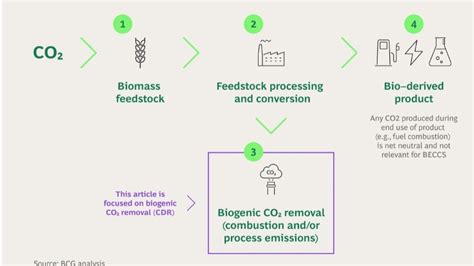 The Big Opportunities In Biogenic Emissions