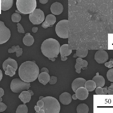 SEM Images Of A Pure CS B CS SiO And C CS SiO Hybrid Download Scientific