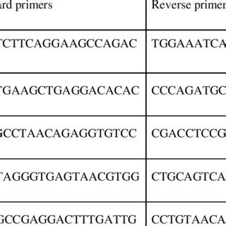 Primer Sequences Used In The Process Of RNA Extraction Download Scientific Diagram