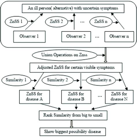 A Znss Model For Influenza ~ ~ F A Download Scientific Diagram