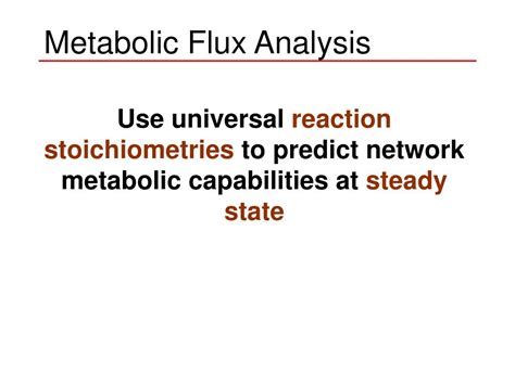 Ppt Introduction To Steady State Metabolic Modeling Powerpoint