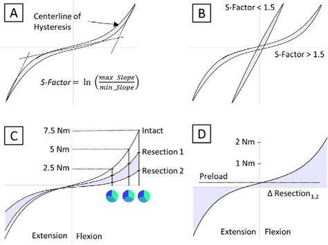 Structure Of Intertransverse Ligaments Semantic Scholar