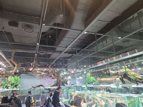 아쿠아가든 롯데타워