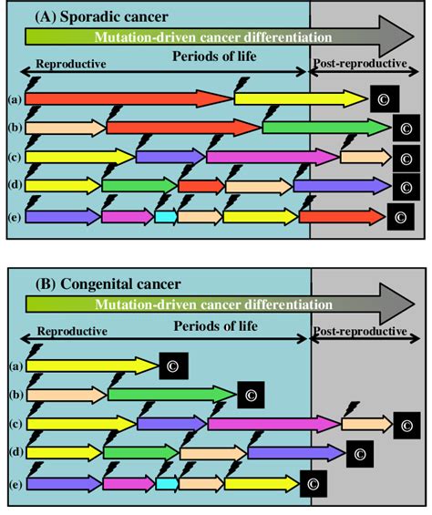 Mutation Driven Cancer Differentiation Tissue Specific TRC Values Are Download Scientific