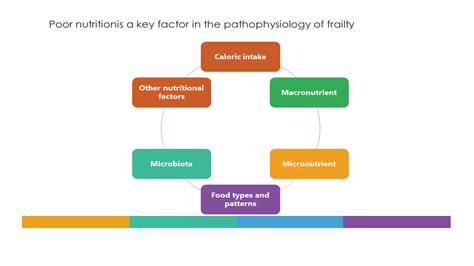 Nutritional Frailtypdf