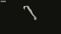 Fruitsoftheweb Tumblr Com Tumbex