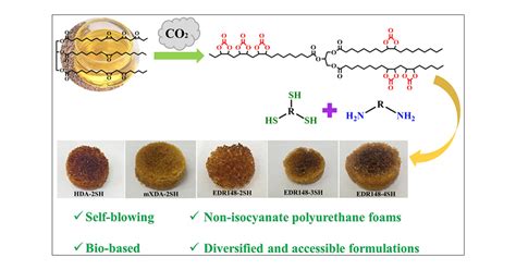 Self Blowing Non Isocyanate Polyurethane Foams From Cyclic Carbonate Linseed Oil Acs
