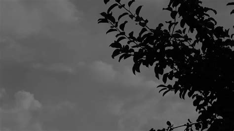 Gape Business Group On Linkedin Conoce A Gape Business Group Y A Todas