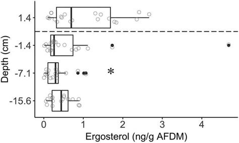 Fungal Biomass Estimated As Ergosterol Concentrations Ngg Ash Free