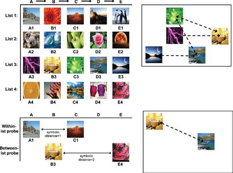 Figure 1 From Co Operation Of Long Term And Working Memory