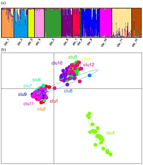 A Clustering Analyses Performed Using Instruct To Determine The