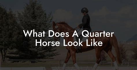 Horse Feed Chart How To Own A Horse