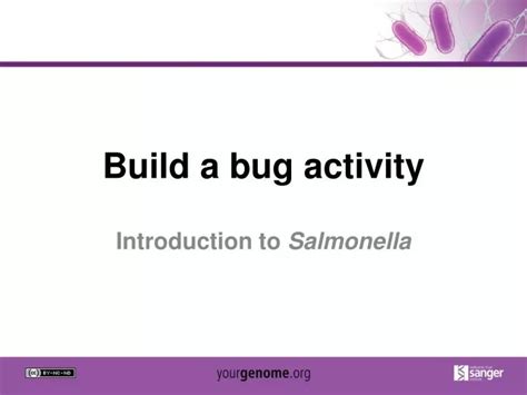 PPT Build A Bug Activity PowerPoint Presentation Free Download ID