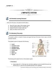 Exploring The Lymphatic System Functions And Organs Course Hero