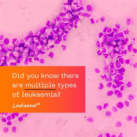 Leukaemia Uk On Linkedin Did You Know There Are Multiple Types Of Leukaemia These Types Can Be…