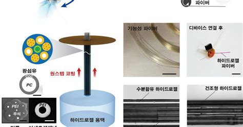 Kaist 유연한 뇌 삽입형 뇌 기계 인터페이스 개발 Kaist 유연한 뇌 삽입형 뇌 기계 인터페이스 개발