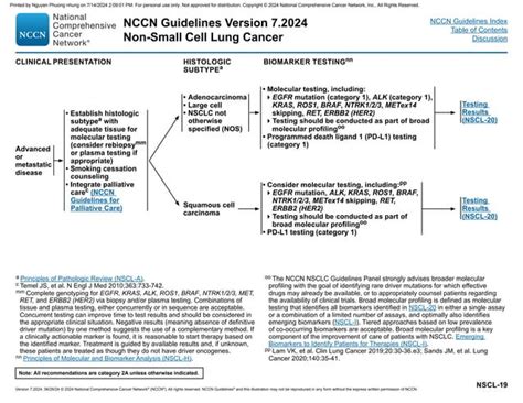 Nccn Clinical Practice Guideline In Oncology Pdf Lung And