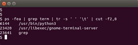 How To Add 👉 👈 Padding To The Ubuntu Gnome Terminal — Jayson Salazar