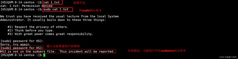 Linux中解决普通用户使用不了sudo问题linux 普通用户无法sudo Csdn博客