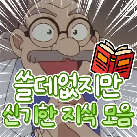 예뻐지는 꿀팁 애인과 결혼을 생각하고 있다면 결혼 전 나눠보면 좋은 대화주제들💕 이런 이야기는 미리 해보자 예뻐지는 모든 꿀팁 대방출 Pretty Good