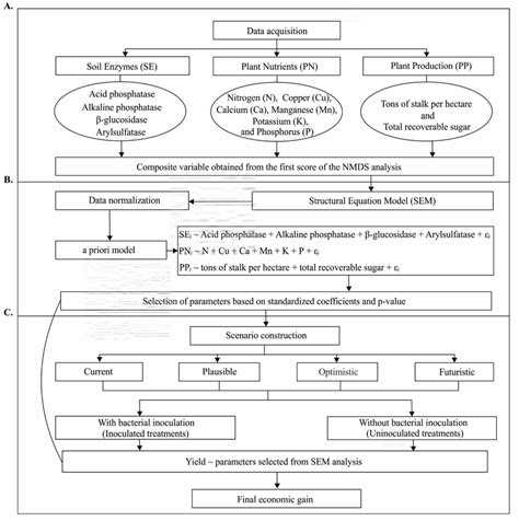 Workflow Of The Modeling Procedures Conducted In This Study Download Scientific Diagram