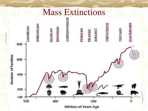 Geologic Time And Phylogeny Chapter 26 Ppt Download