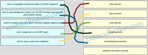 ccna3 final exam flashcards quizlet