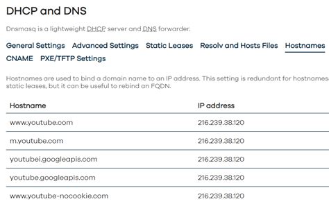luci add support for managing tags in dhcp and dns configuration web