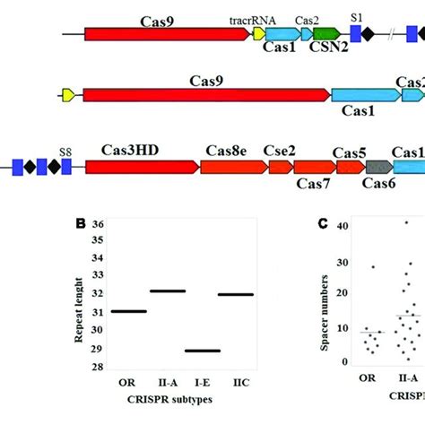 A Schematic Diagram Of Complete Crispr Cas Array B Distribution