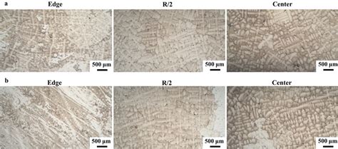 Dendrite Structure At Different Position Of Var Ingot Head A Download Scientific Diagram