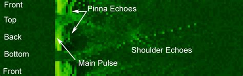 head related impulse responses download scientific diagram