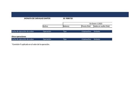 transaction report jhonata carvalho udocz