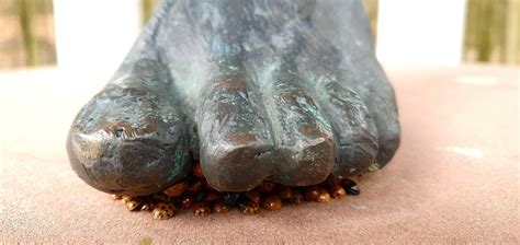 Foot Statue Ladybug Bergpark Free Photo On Pixabay Pixabay