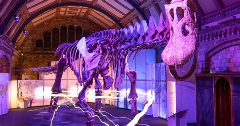 Worlds Largest Dinosaur Coming To Nz For Exhibition