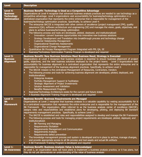 Ba Maturity Model Bay3000