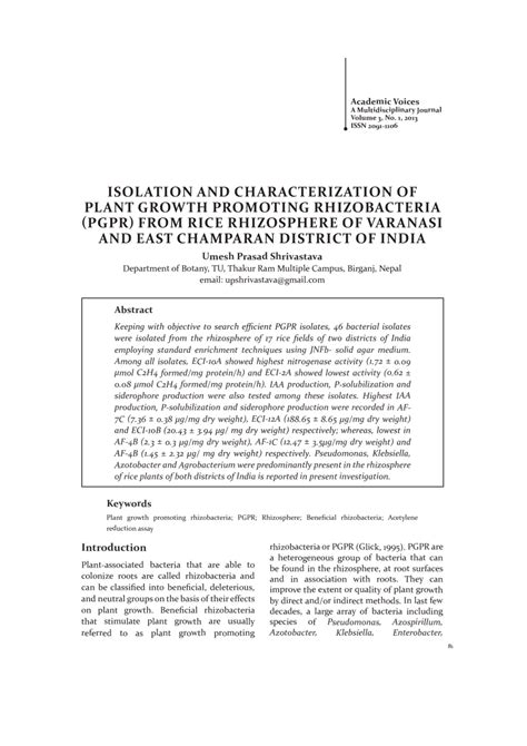 Pdf Isolation And Characterization Of Plant Growth Promoting Rhizobacteria Pgpr From Rice