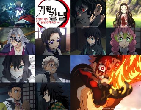 귀멸의 칼날 인연의 기적 그리고 합동 강화 훈련으로 12장 사진 시선 강탈…2월 14일 개봉