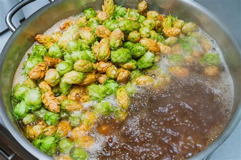 수제 맥주를 끓이는 표면에 홉의 단점 곡물 보리 창백한 맥아에서 양조하는 공예 맥주 필스너 맥아의 에일 또는 라거 홉에 대한 스톡 사진 및 기타 이미지 Istock