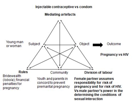 The Current Form Of The Activity System Of Sexual Activity Download Scientific Diagram