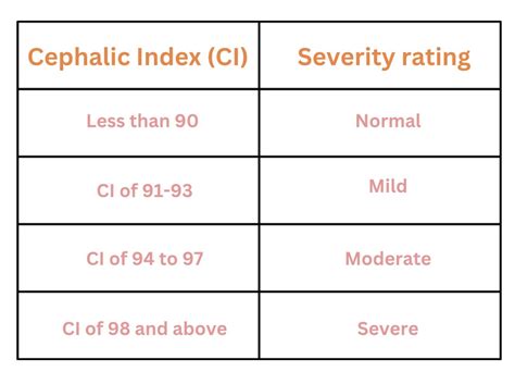 Brachycephaly 10 Things You Need To Know