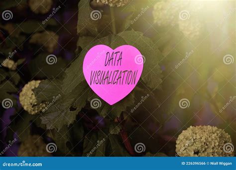 Visualization Of Information Databases Analysis And Processing Of Data Flow Conceptual