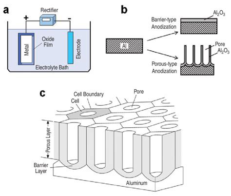 Schematic Illustrations Showing A A Simplifi Ed Anodization Setup