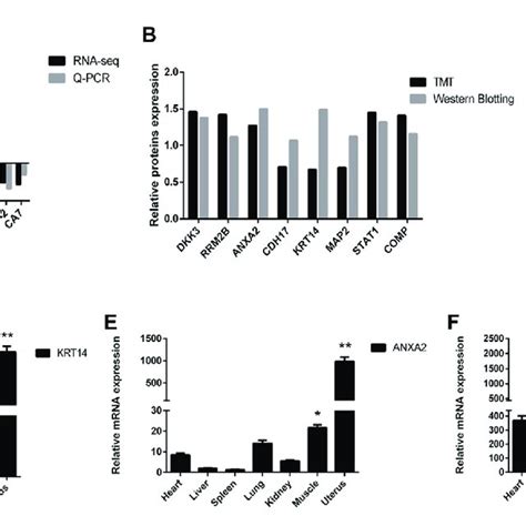 Identification And Verification Of Differentially Expressed Gene And
