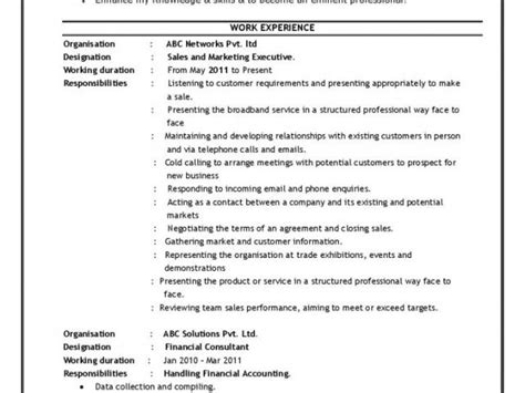 Resume Format Word File For Sales Executive Executive Resume Template 31 Free Word Pdf Indesign